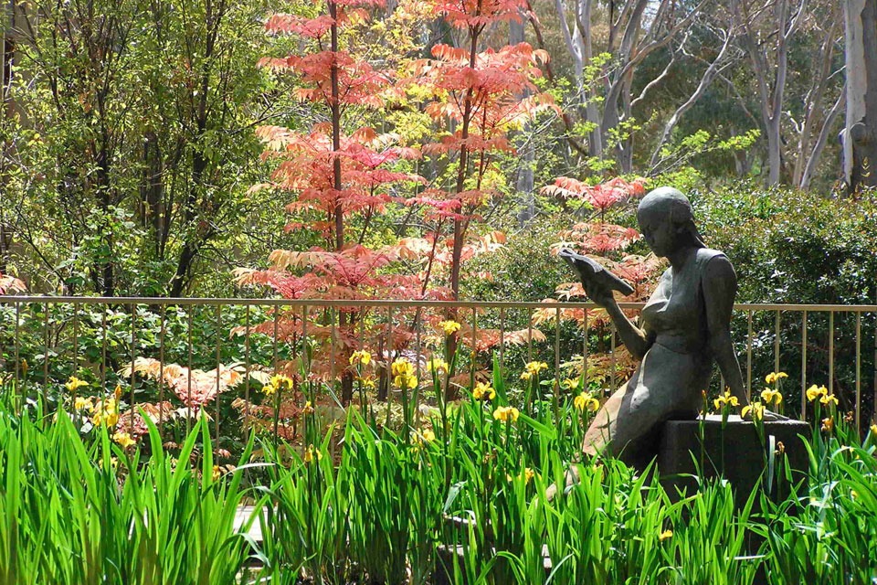 Fellows' Teaching Philosophy workshops - ANU Learning and Teaching